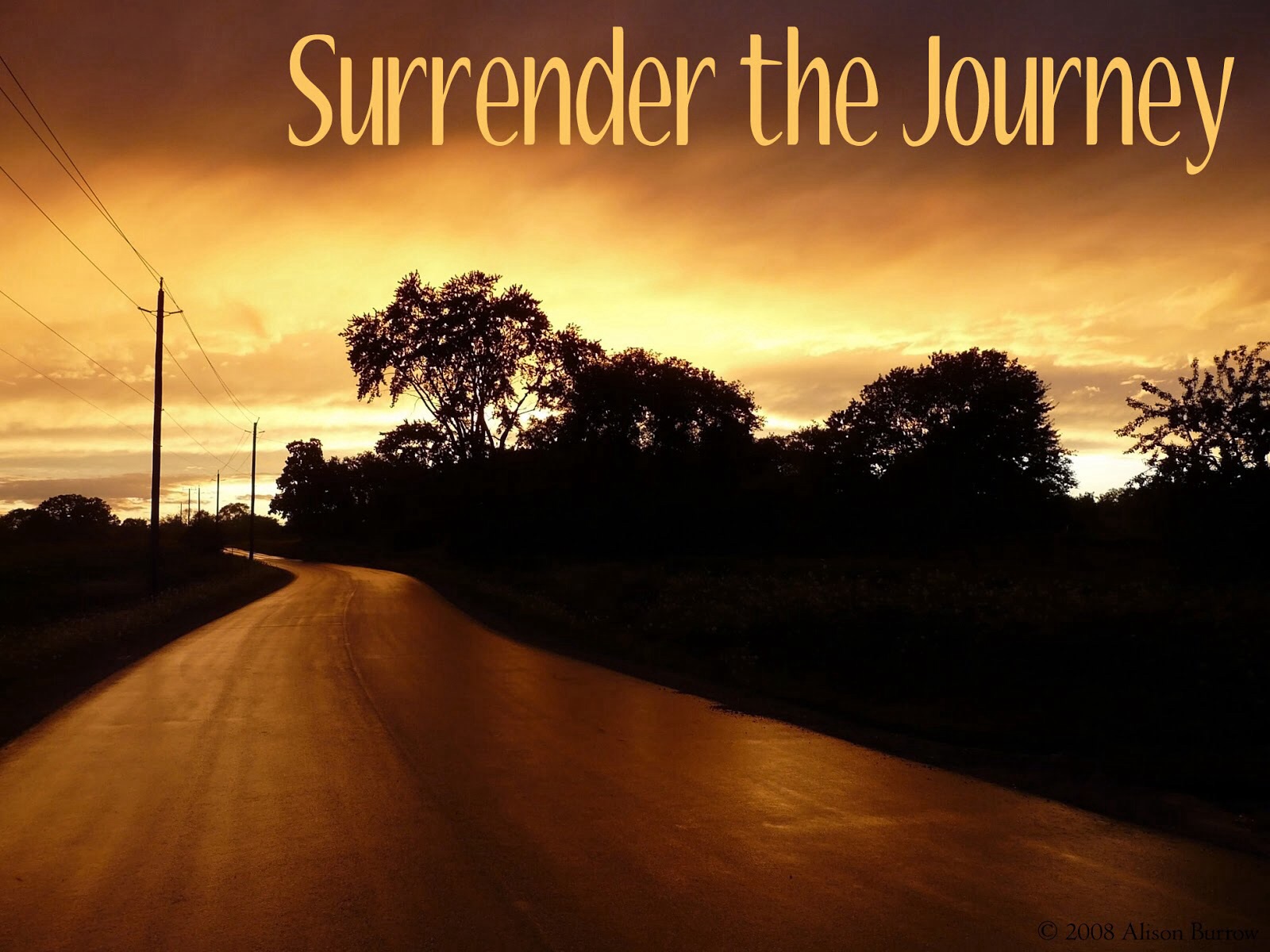 The Observer's Voice » Blog Archive » SURRENDER The Observer's Voice » Blog Archive » SURRENDER